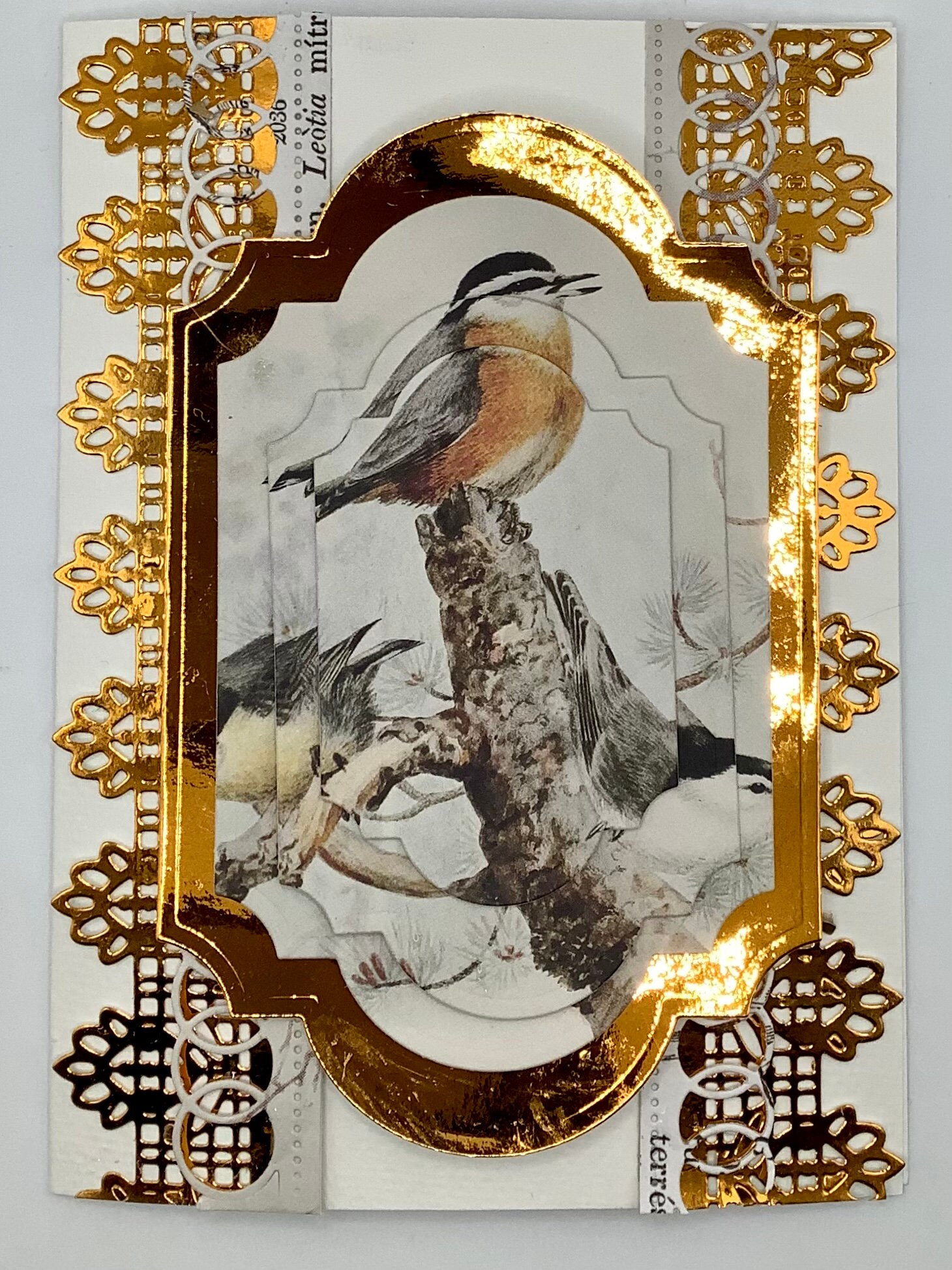 Bird Handmade Card - Etsy