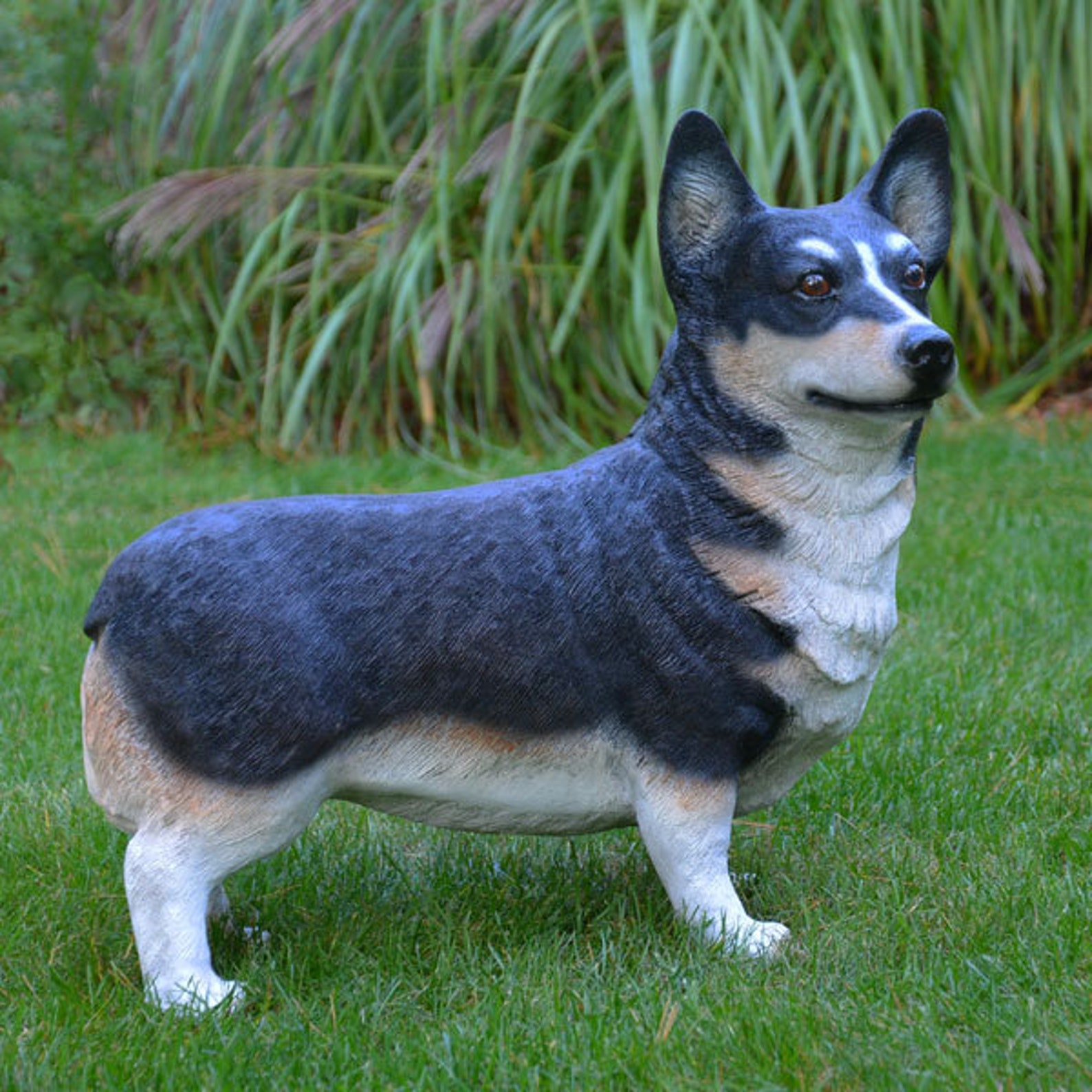 Corgi statue outdoor as lawn sculptures. Life-like Tri-Color | Etsy