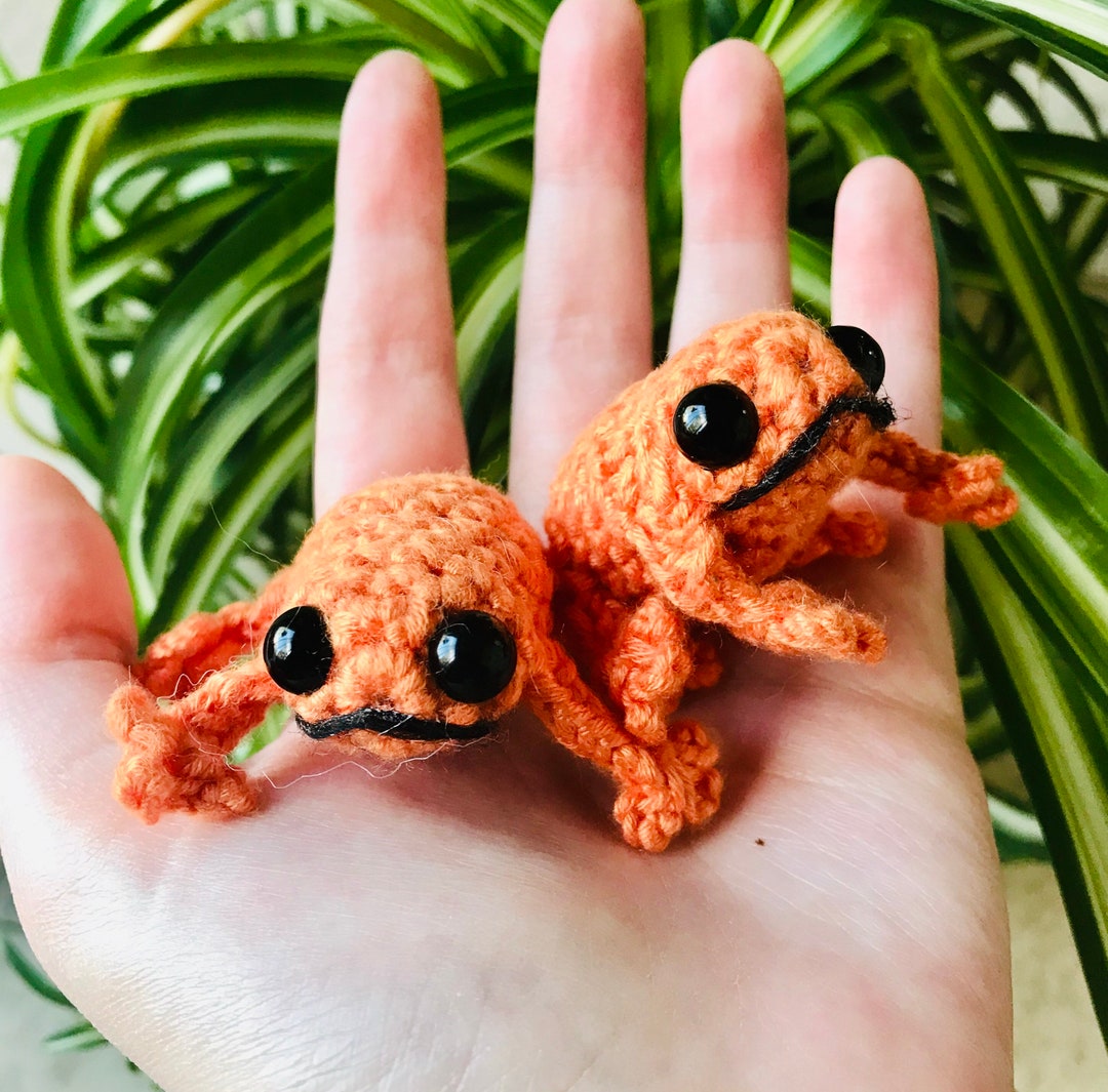 Pumpkin Toadlet Frog Amigurumi Crochet Pattern DIGITAL - Etsy