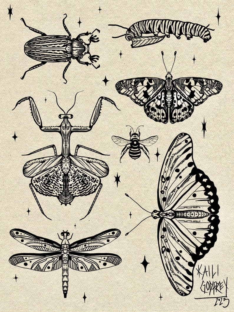 Starry Insect Flash Sheet Print - Etsy