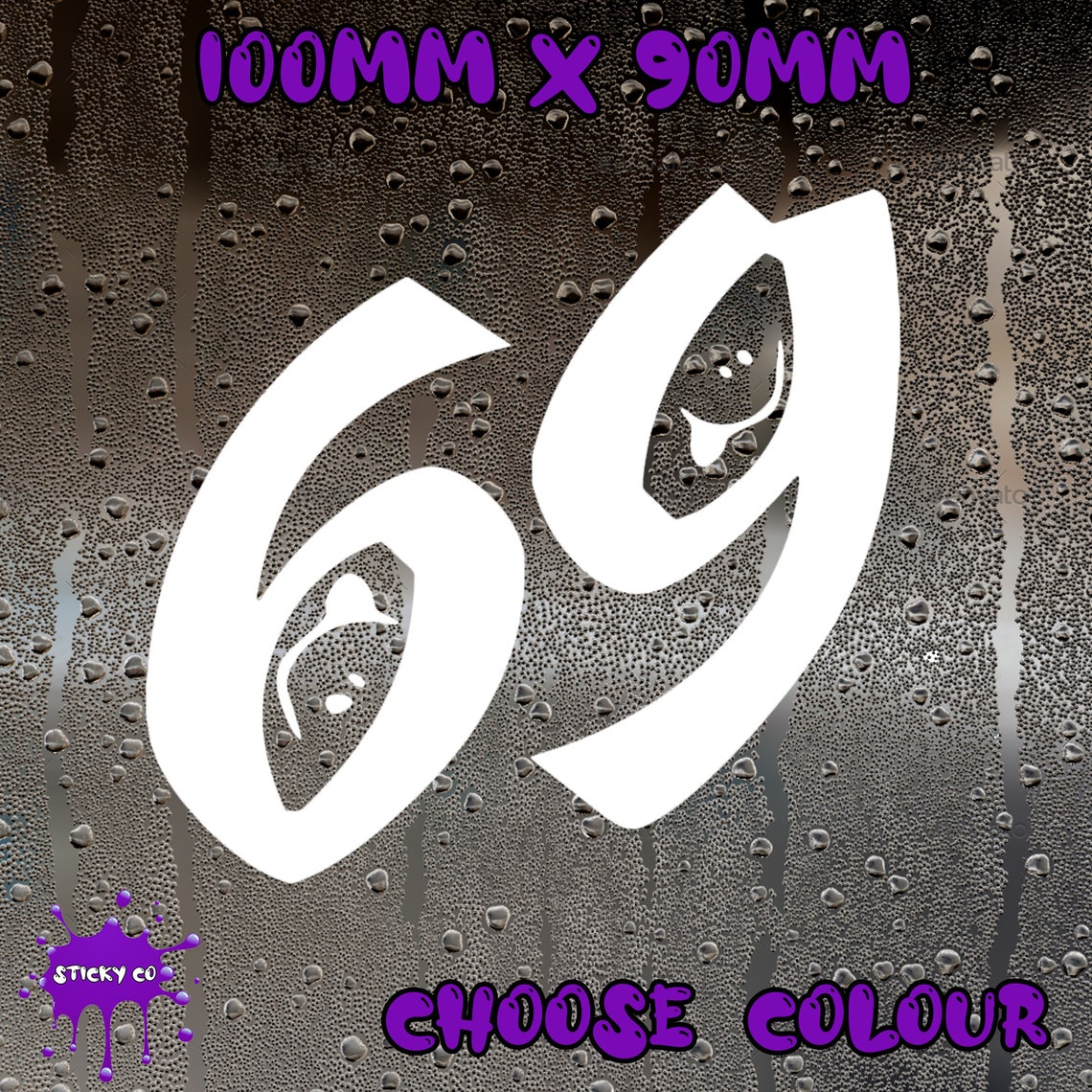 69 Sticker Window Sticker Bumper Sticker Vinyl Decal Euro JDM | Etsy