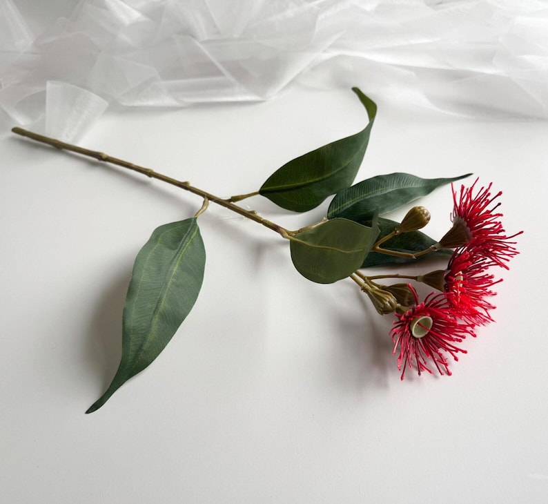 Red Gum Blossom Stem: Australian Native Eucalyptus Flowers - Etsy