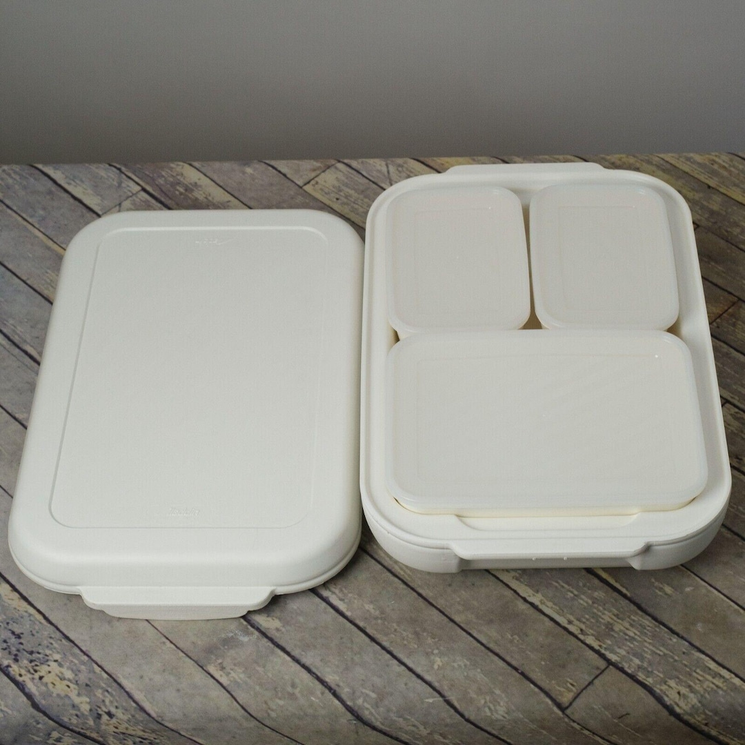 ALADDIN TEMPRESERVE Insulated Carrier ICC500 Hot & Cold Container ...