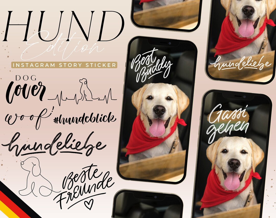 170+ DOGS Instagram Story Stickers I DOGS Insta Story Stickers - Etsy