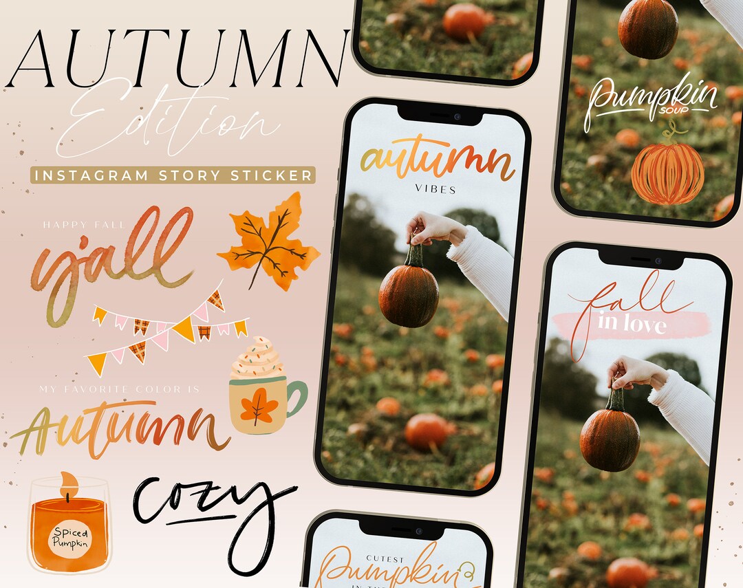 150+ AUTUMN Instagram Story Stickers I Autumn Insta Story Stickers - Etsy