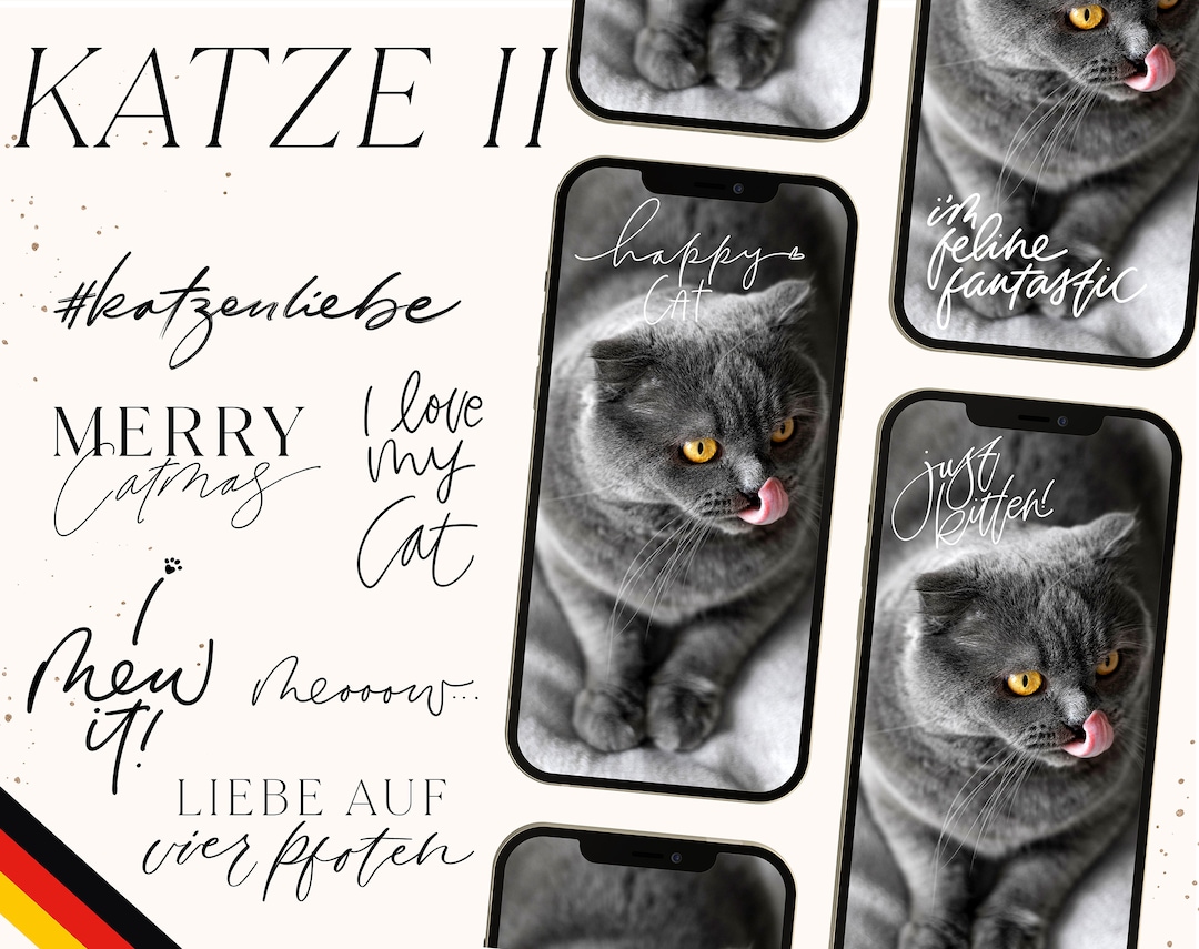 130+ CAT Instagram Story Stickers I CATS Insta Story Stickers Cats - Etsy