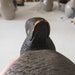 Vintage Goldeneye Duck Decoy Folk Art Hand Painted Signed EL - Etsy