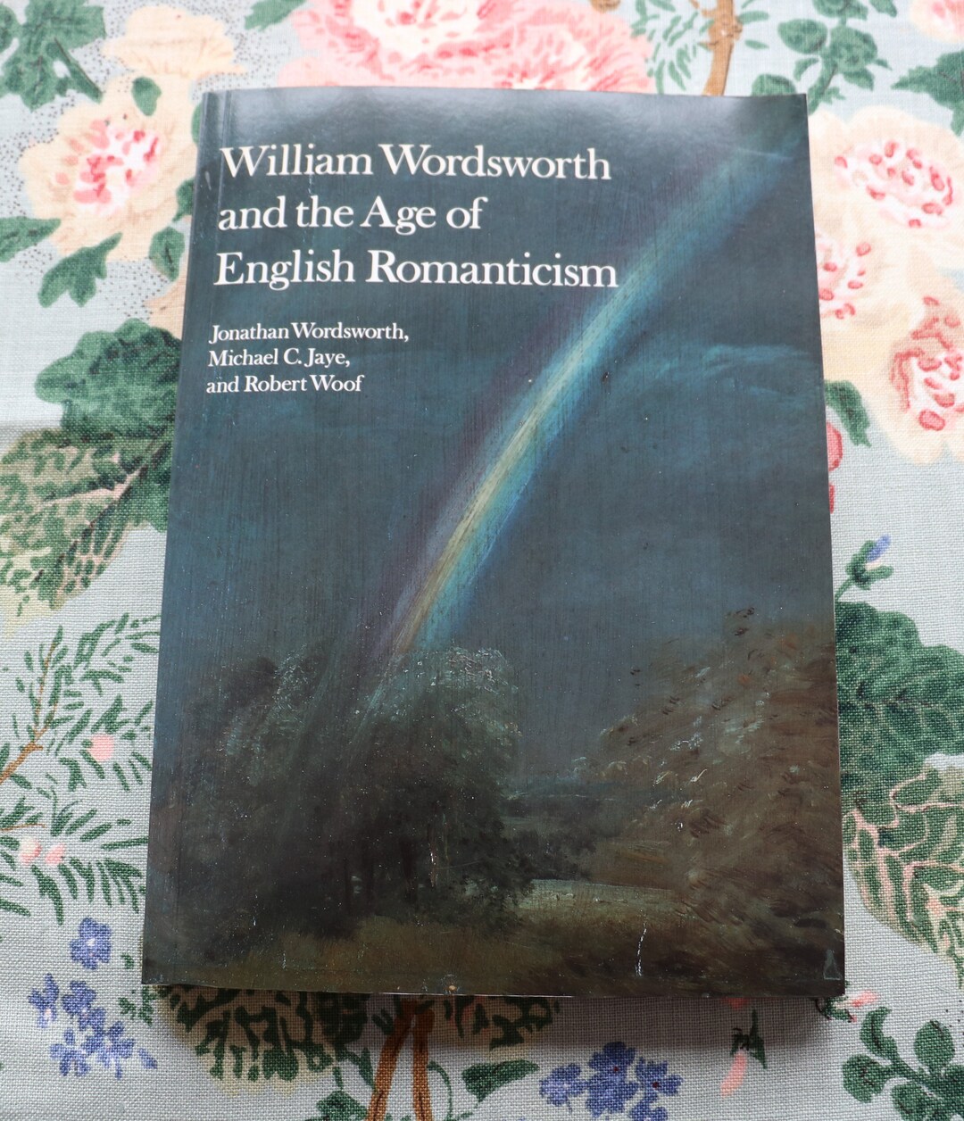William Wordsworth and the Age of English Romanticism - Etsy