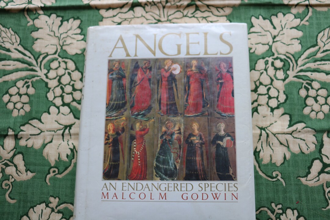 Angels an Endangered Species by Malcolm Godwin - Etsy