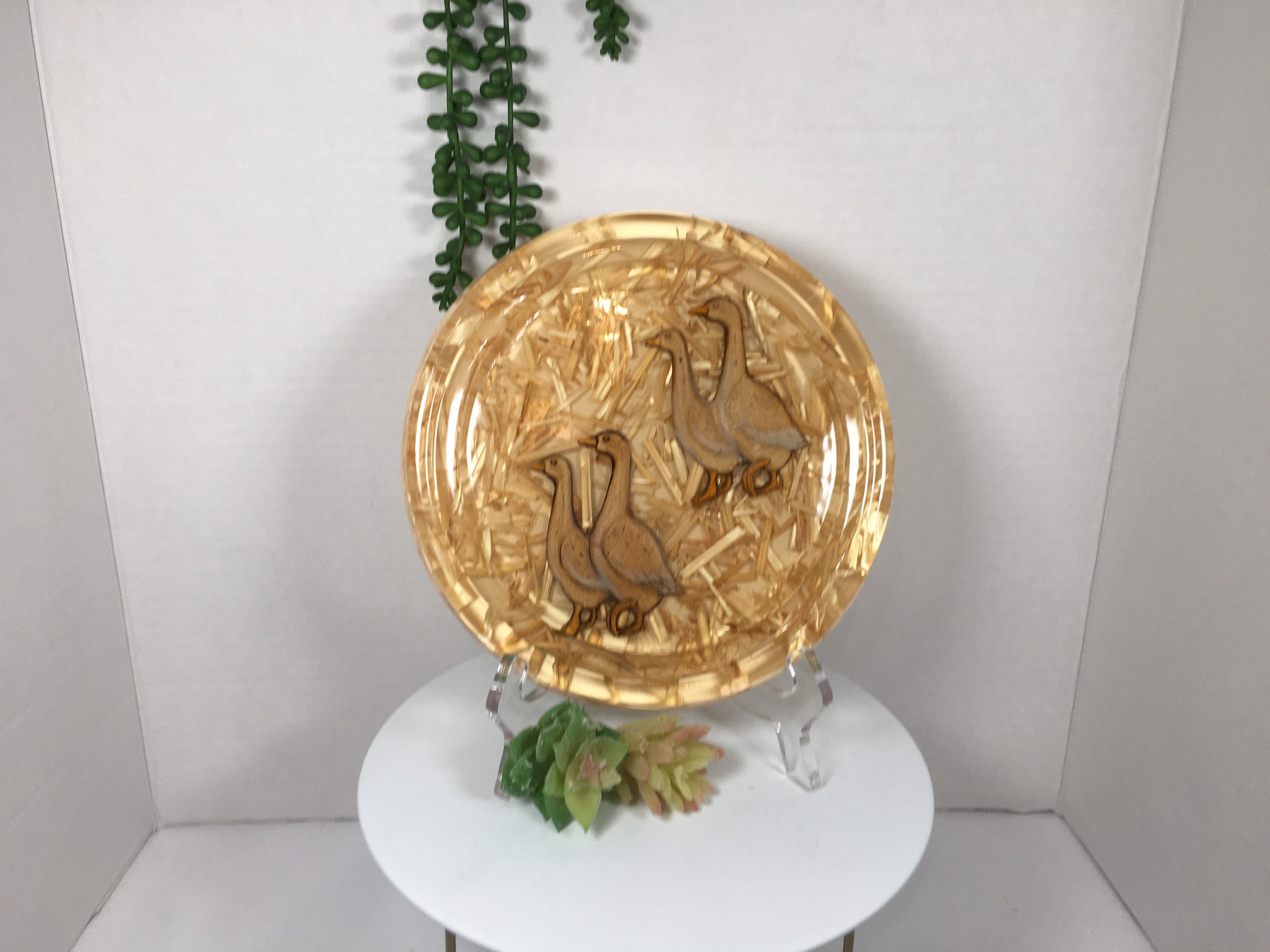 Vintage Lucite Resin Trivet Hot Plate Embedded With Ducks - Etsy