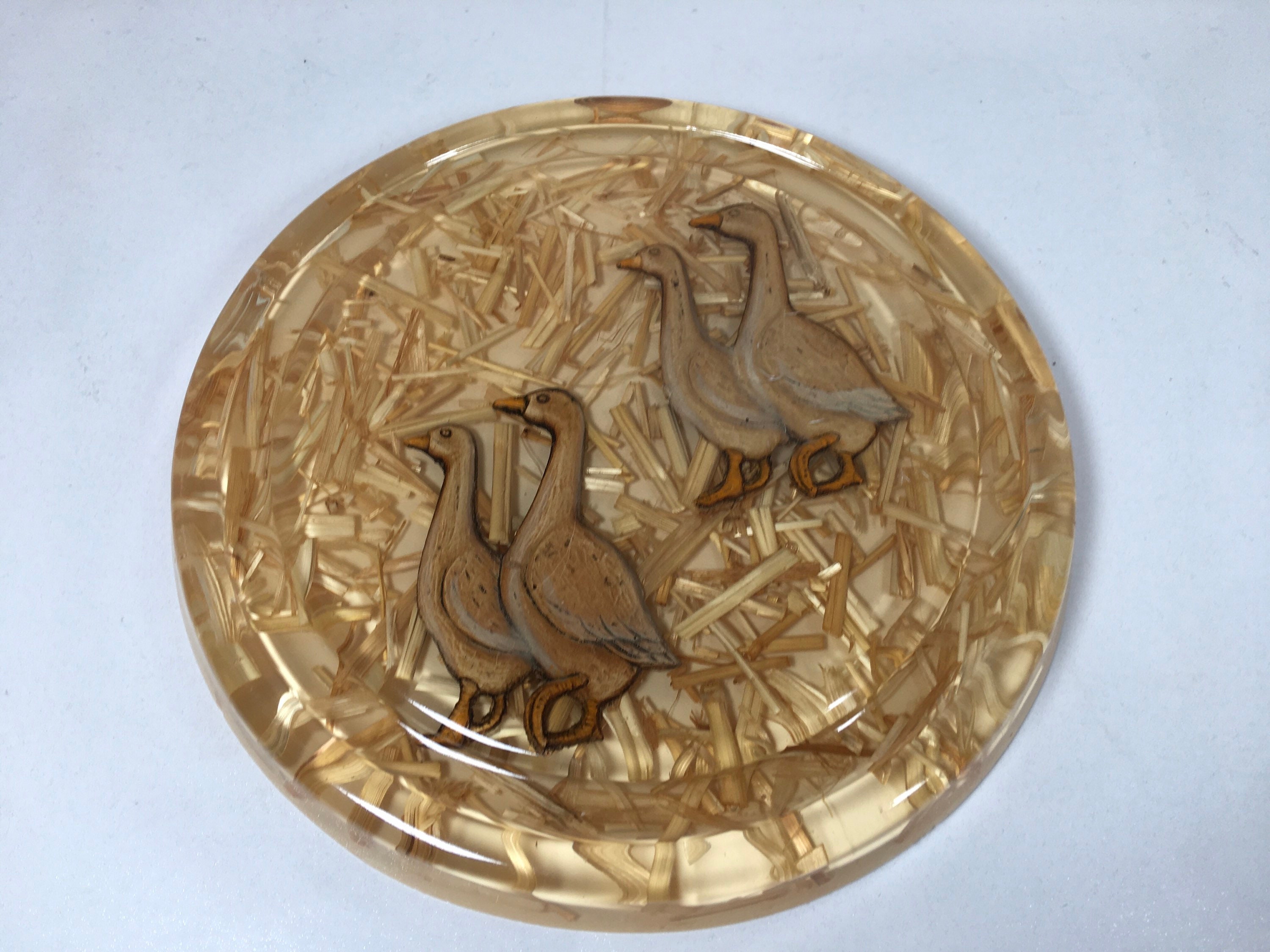 Vintage Lucite Resin Trivet Hot Plate Embedded With Ducks - Etsy