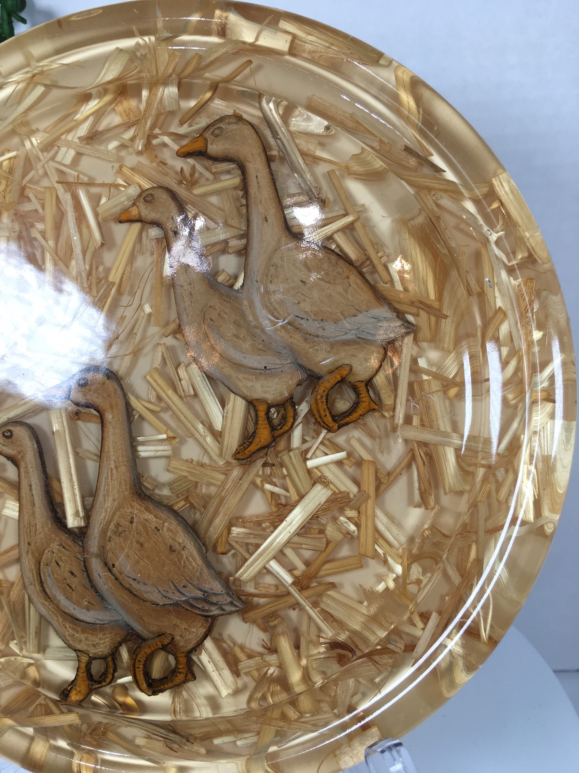 Vintage Lucite Resin Trivet Hot Plate Embedded With Ducks - Etsy