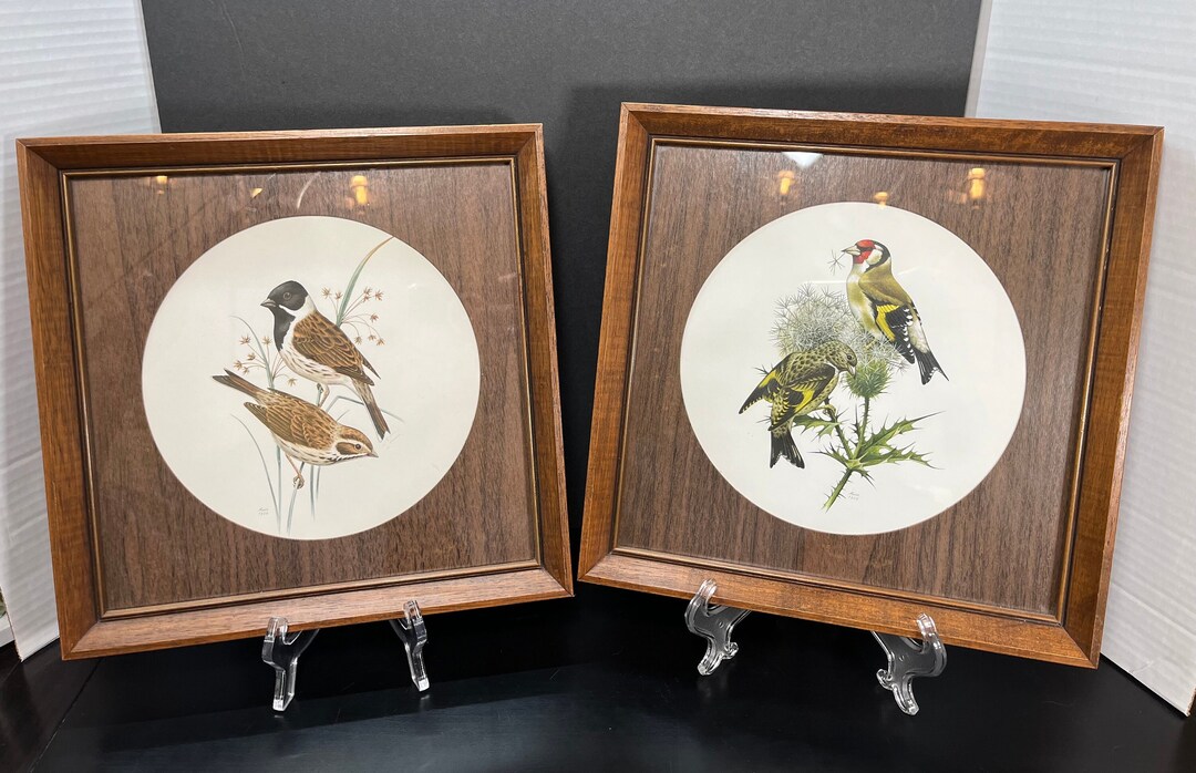 Framed John Murr Bird Prints Wall Decor 1958 Artist Signed Vintage Wall ...