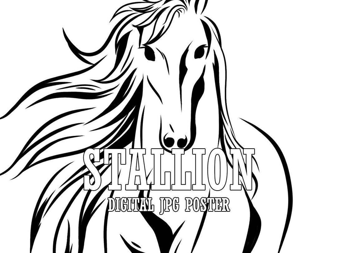 Stallion Line Art Sketch, Digital Art - Etsy