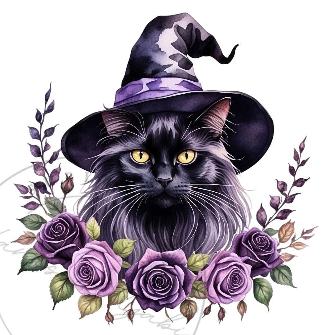 Black Cat Witch Hat Clipart, Watercolor Purple Roses Png, Halloween ...
