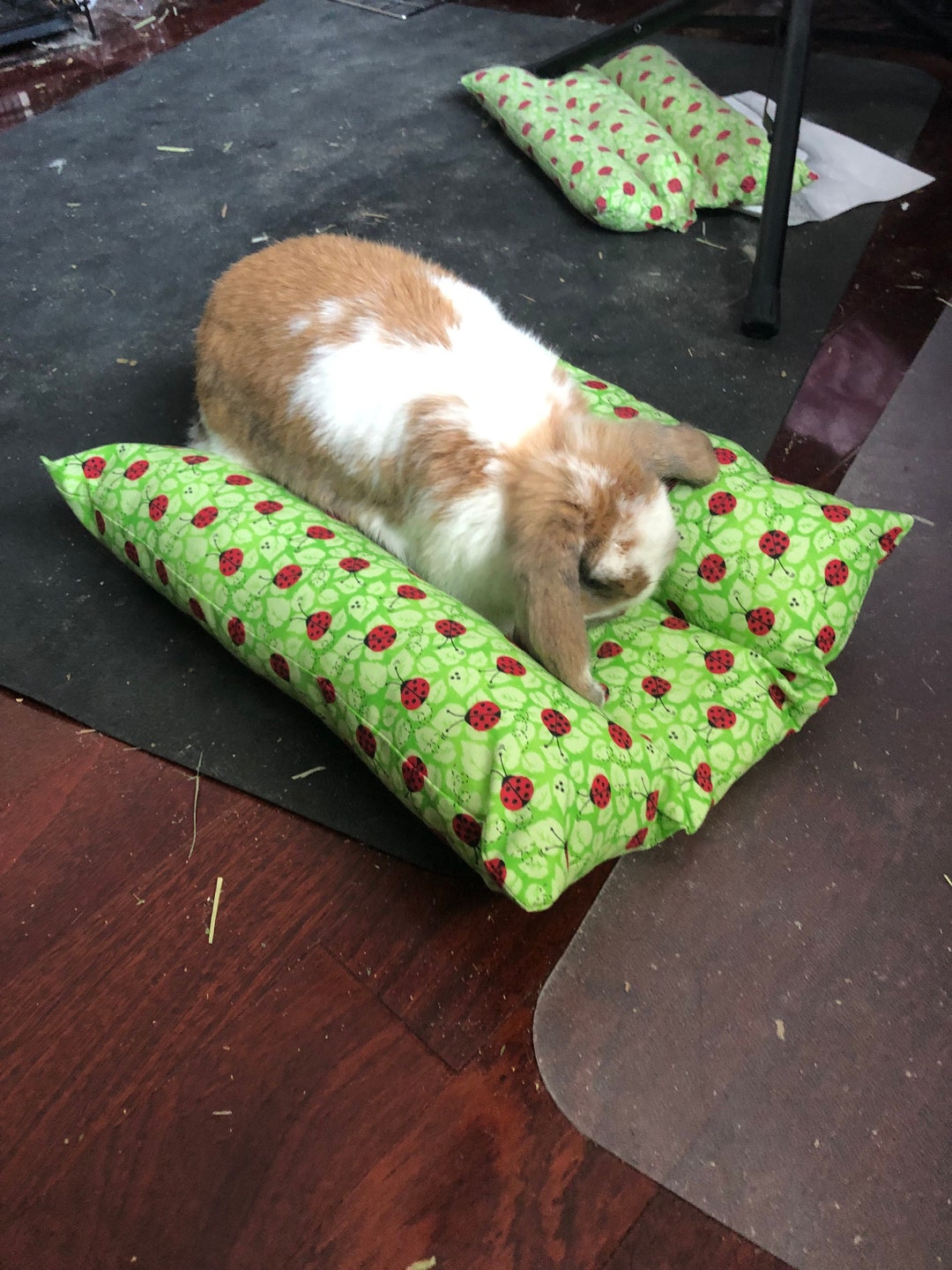 Snuggle Bed for Rabbits and Guinea Pigs - Etsy