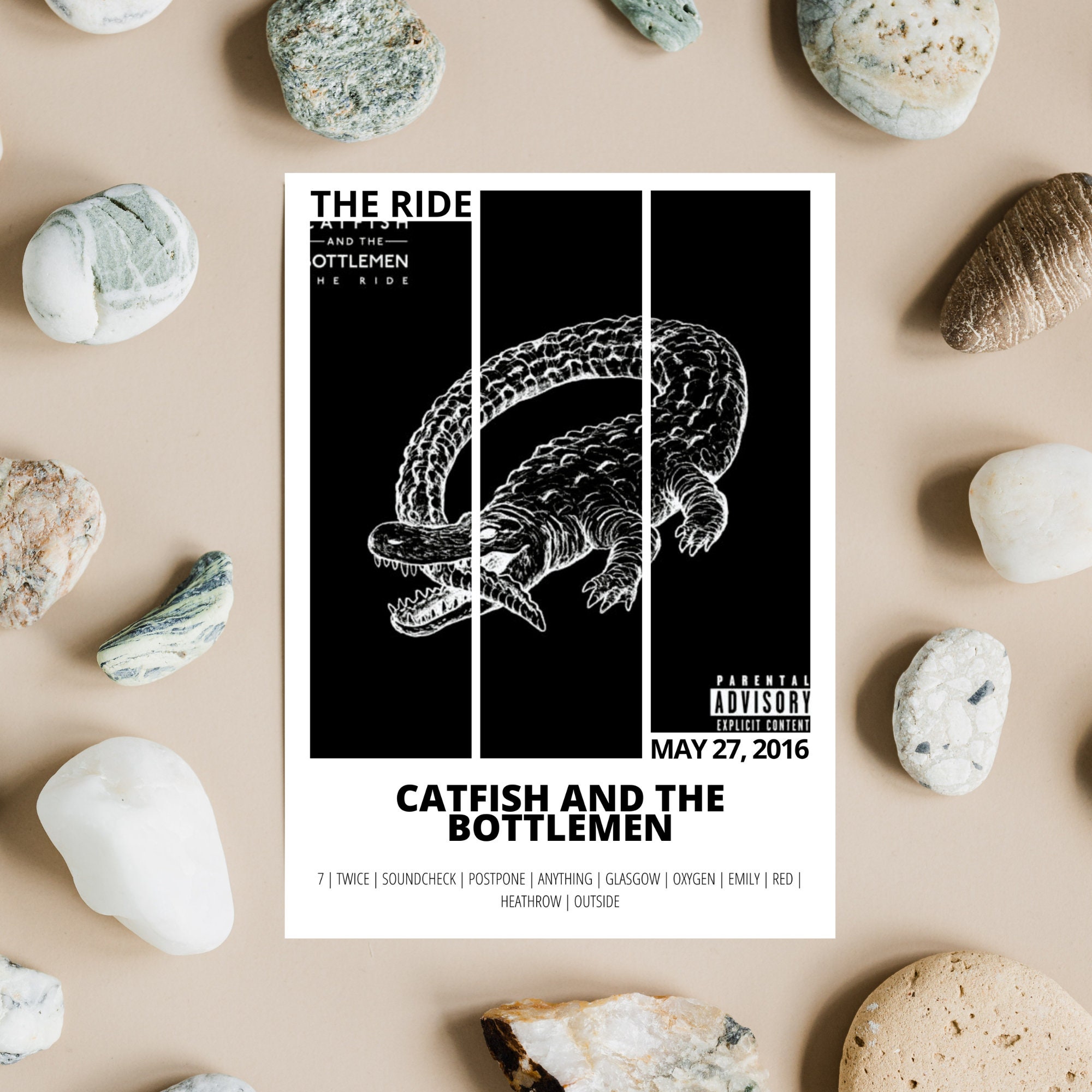Catfish and the Bottlemen Poster the Ride Album Cover - Etsy Hong Kong