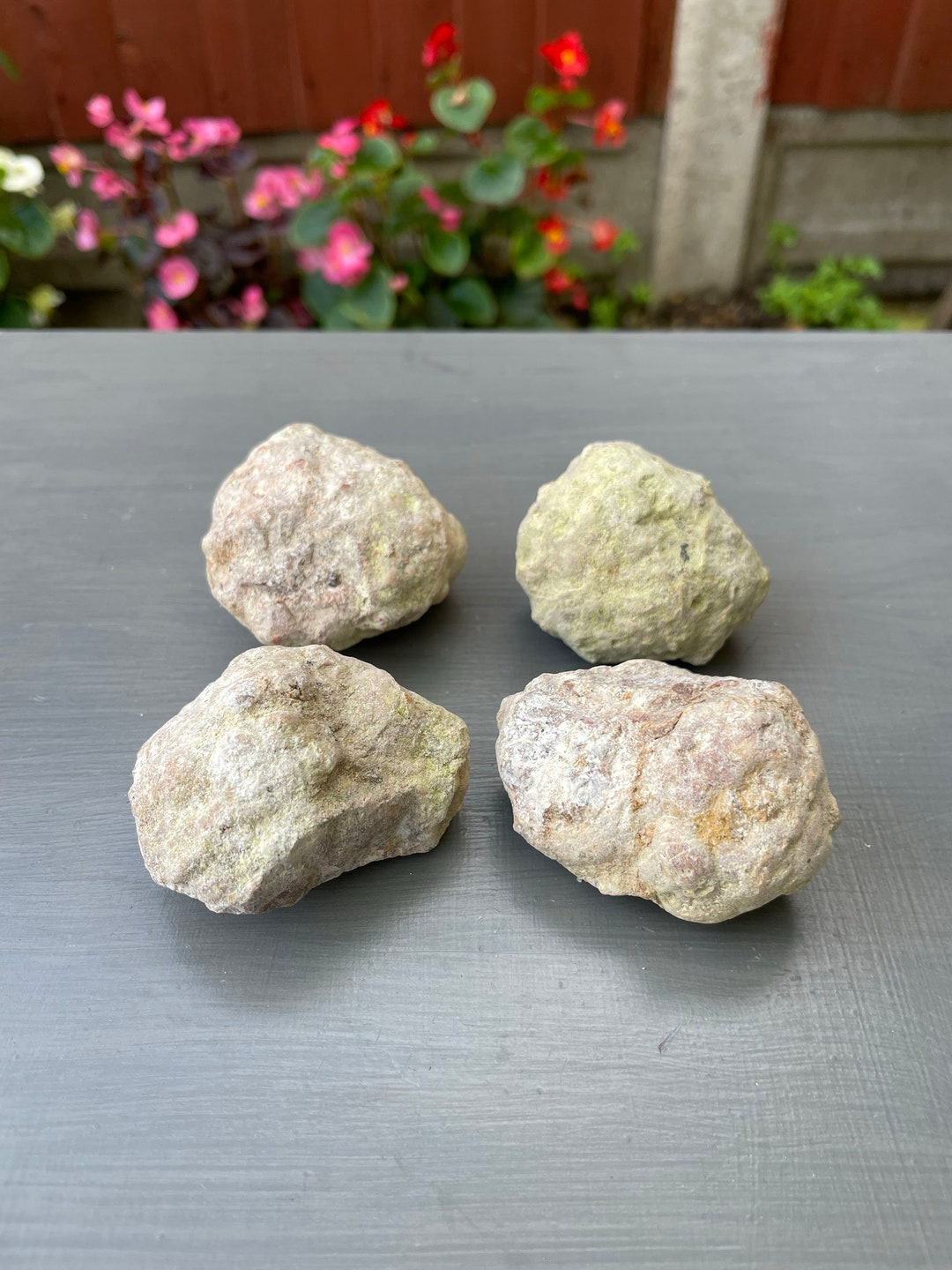 Unbroken Whole Geodes - Etsy