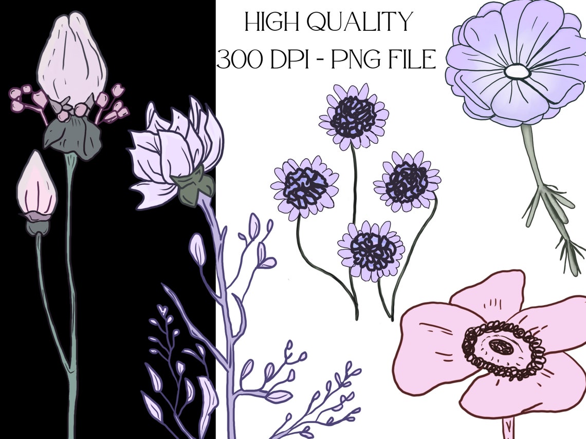 Boho Flowers Clipart Pink Floral Clipart Wildflower Clipart - Etsy