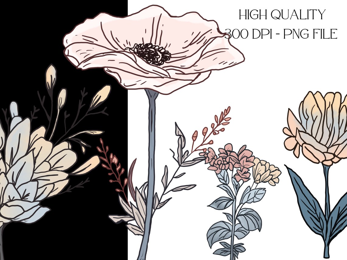 Wildflower PNG Boho Flowers Clipart Hand Drawn Flowers PNG - Etsy