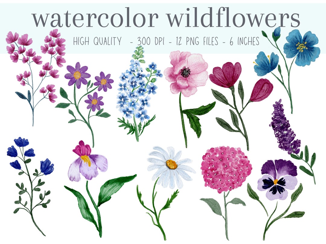 Watercolor Wildflower Clipart: Spring Floral PNG Bundle (digital ...