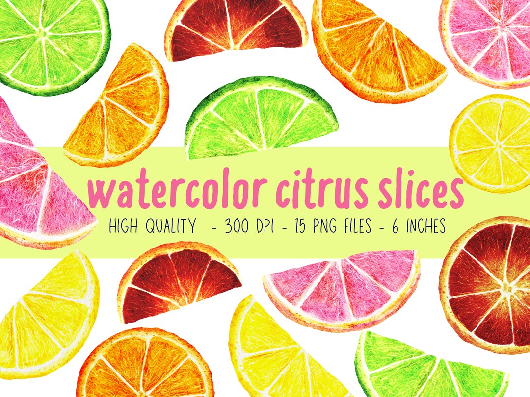 Watercolor Fruit Clipart, Watercolor Lemon Clipart, Citrus Clipart ...