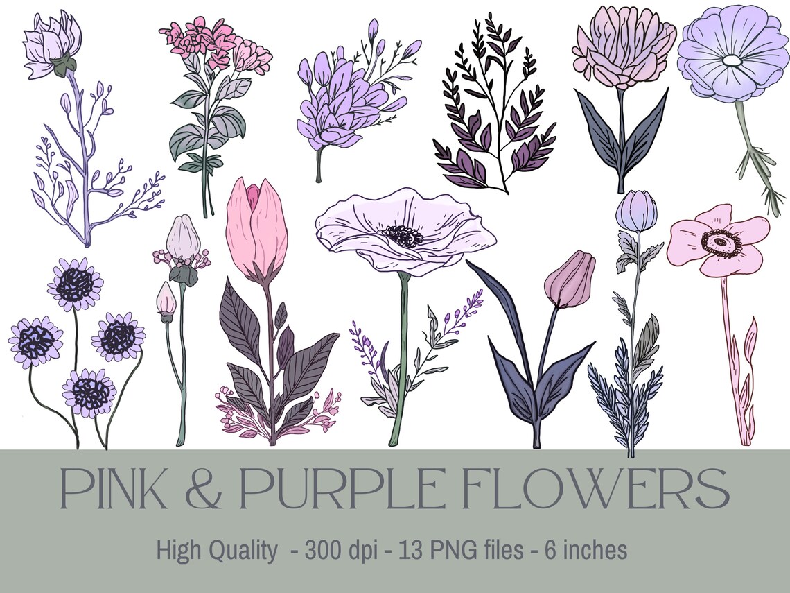 Boho Flowers Clipart Pink Floral Clipart Wildflower Clipart - Etsy