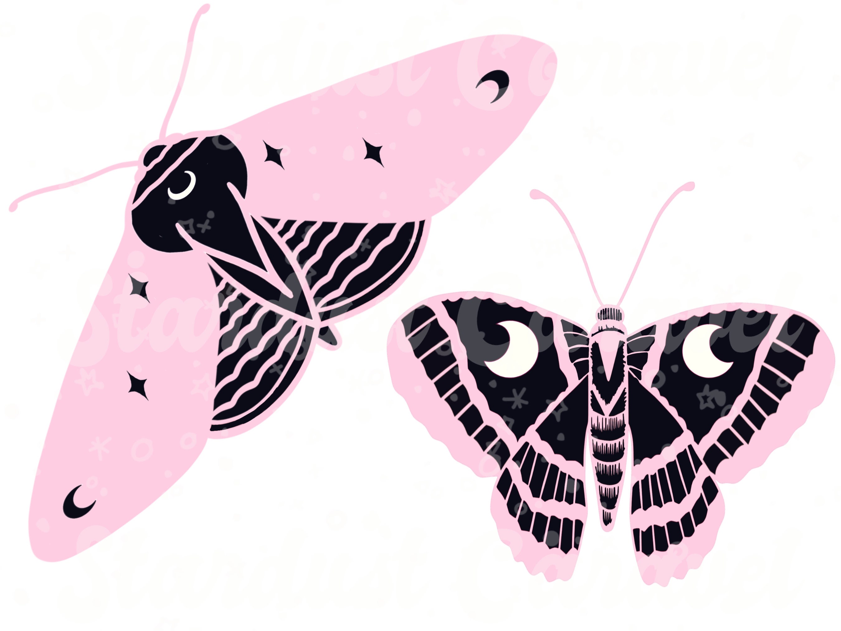 Pastel Pink Moth Clipart: Boho Fairy Garden PNG (digital Download) - Etsy