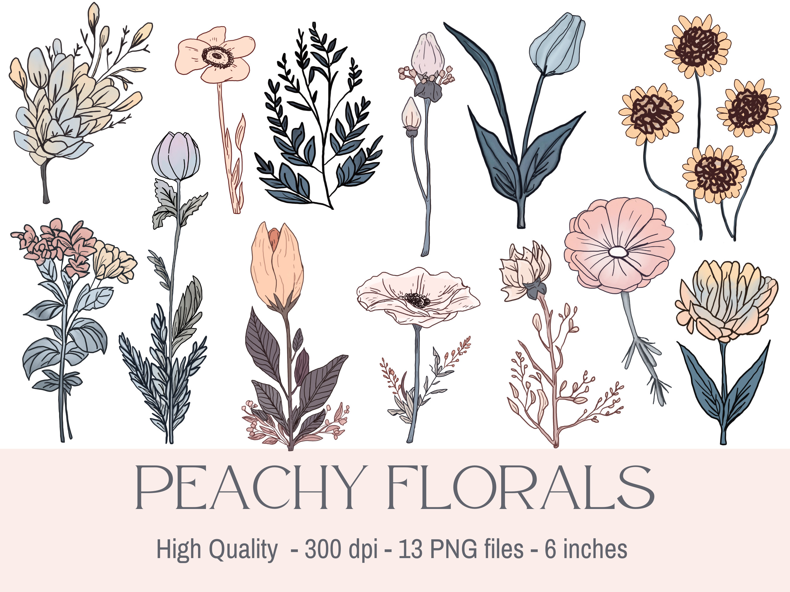 Wildflower PNG Boho Flowers Clipart Hand Drawn Flowers PNG - Etsy