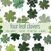 St Patricks Day Clipart, Shamrock Clipart, Four Leaf Clover Clipart ...