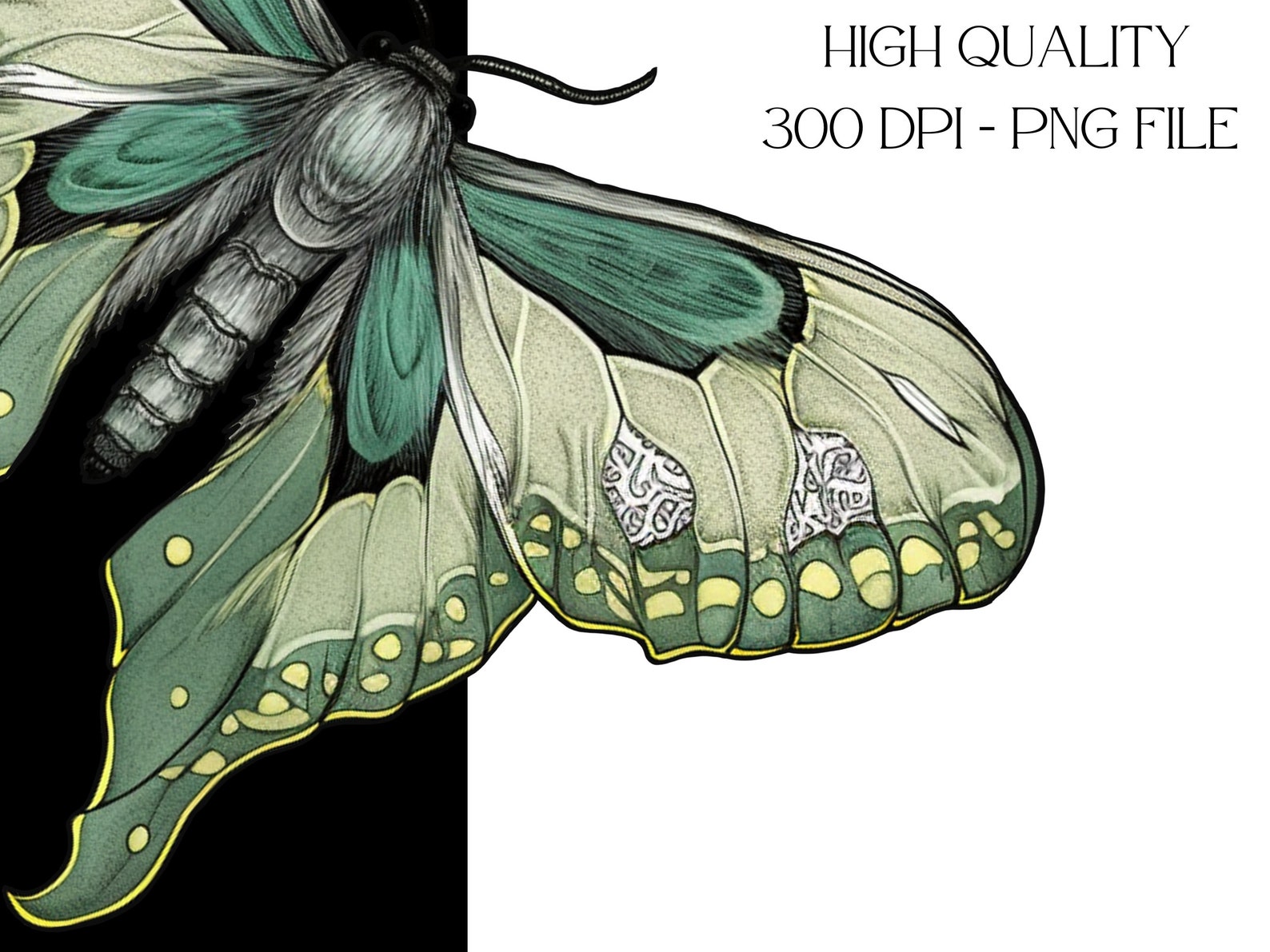 Lunar Moth PNG, Wiccan PNG, Insect Png, Mystical Moth Clipart, Nature ...