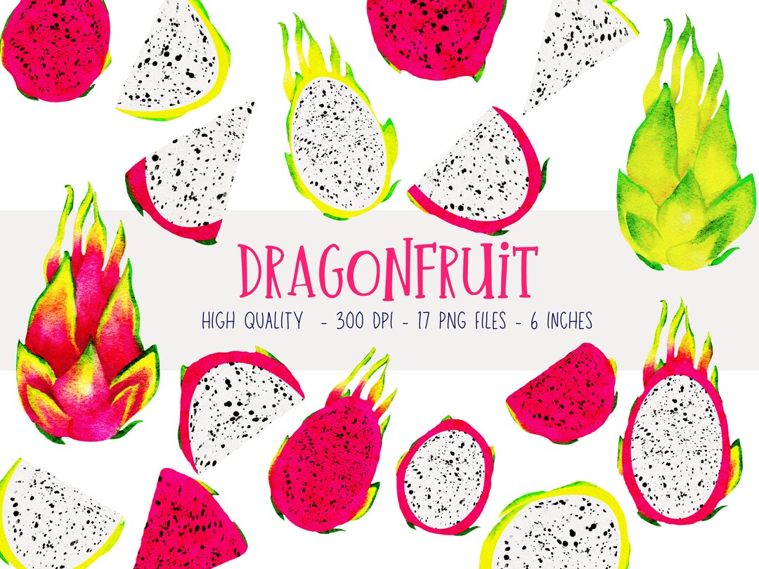 Watercolor Dragon Fruit Clipart: Summer Picnic PNG (digital Download ...