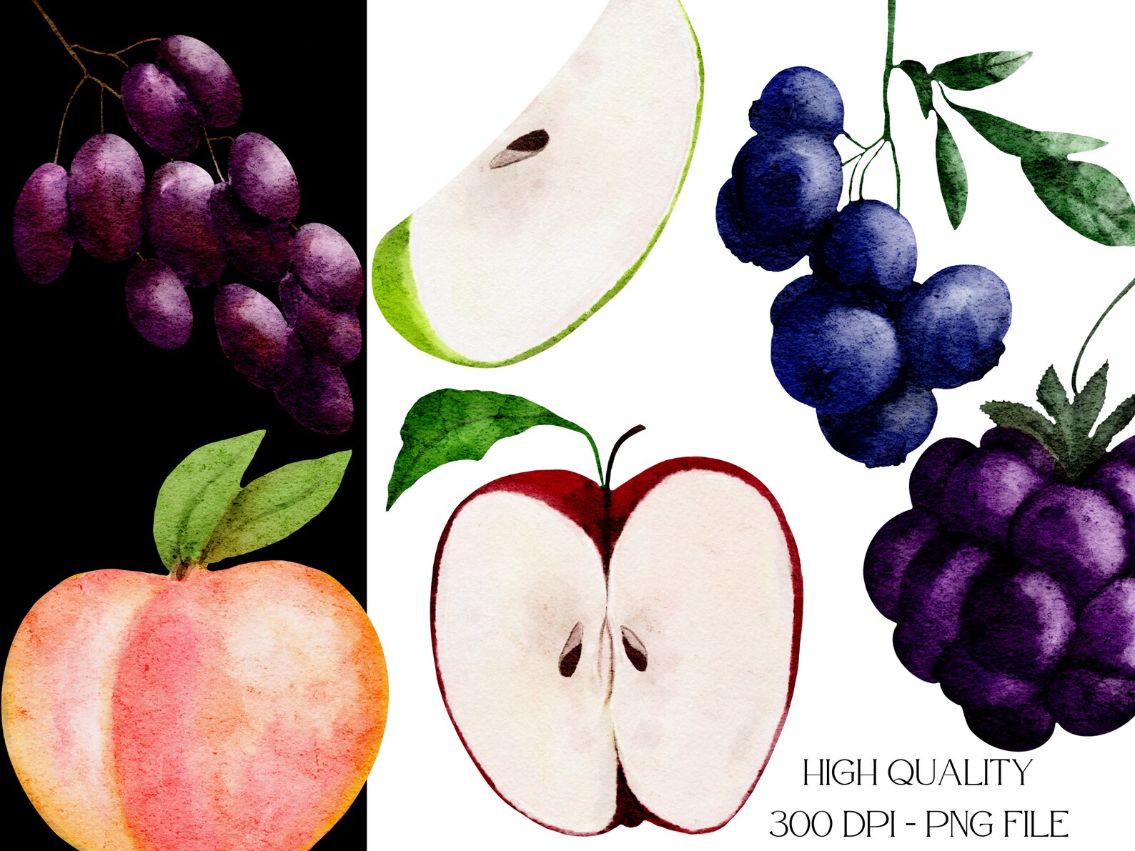 Watercolor Fruit Clipart, Summer Fruit Clipart, Fruit PNG, Apple ...