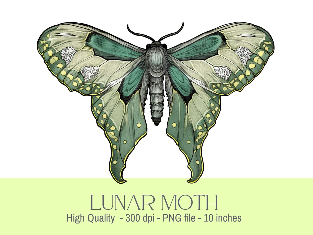 Lunar Moth PNG, Wiccan PNG, Insect Png, Mystical Moth Clipart, Nature ...