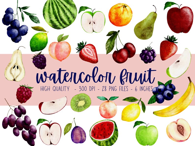 Watercolor Fruit Clipart, Summer Fruit Clipart, Fruit PNG, Apple ...
