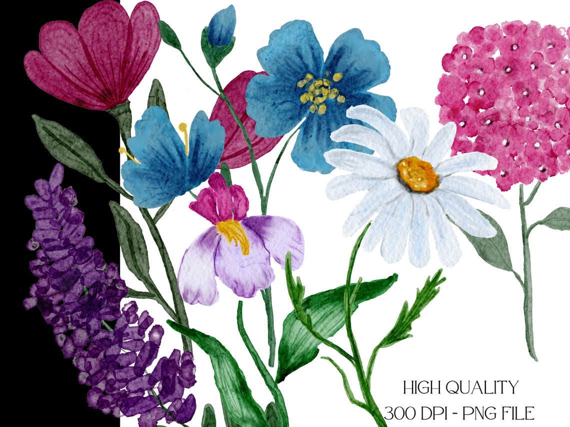 Watercolor Wildflower Clipart: Spring Floral PNG Bundle (digital ...