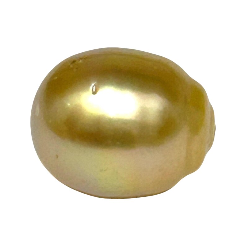 Giant Natural Golden Pearl • Rare 23.6 Carat Philippines South Sea ...