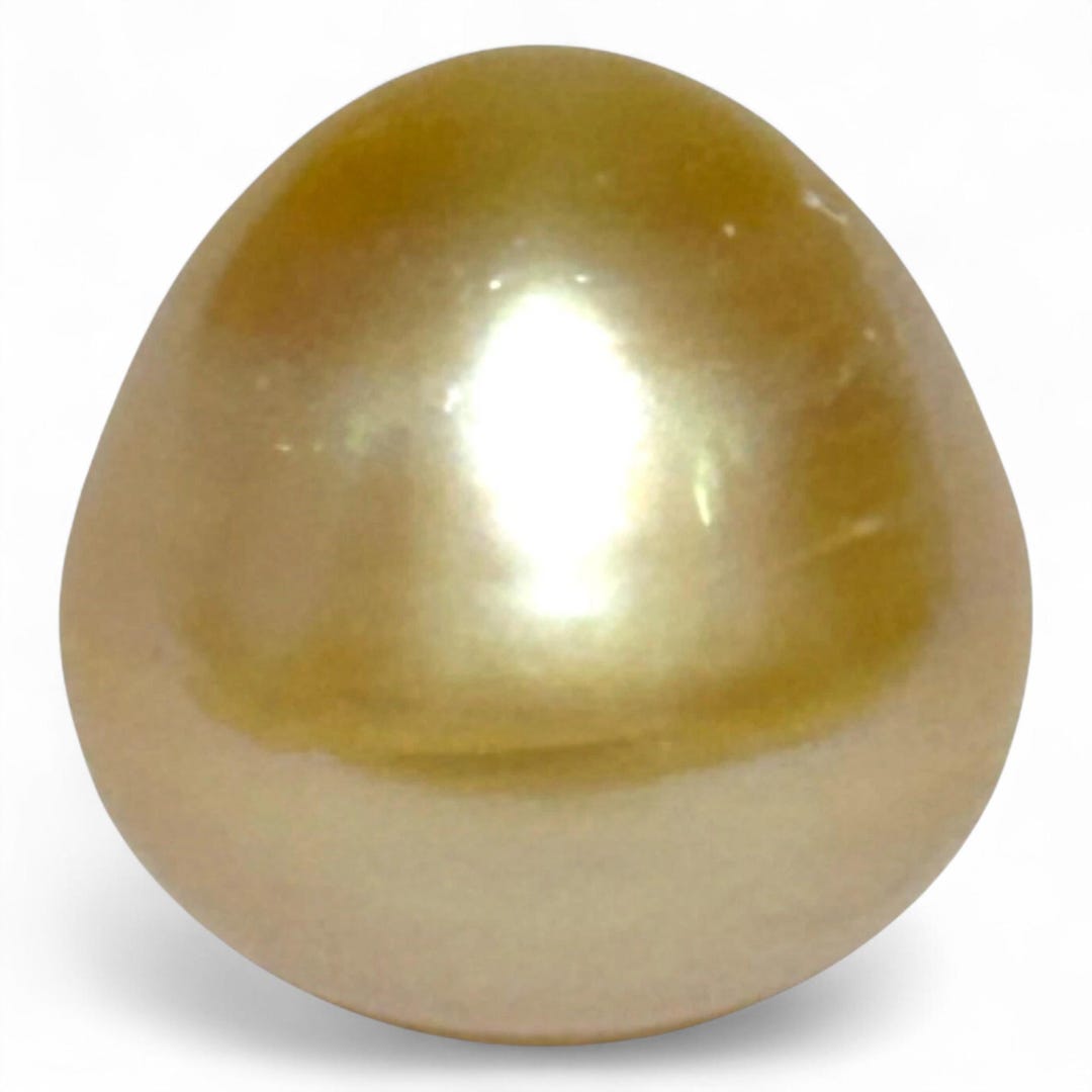 Giant Philippine South Sea Pearl - Natural Rich Gold - 16.1x16.4mm Oval ...