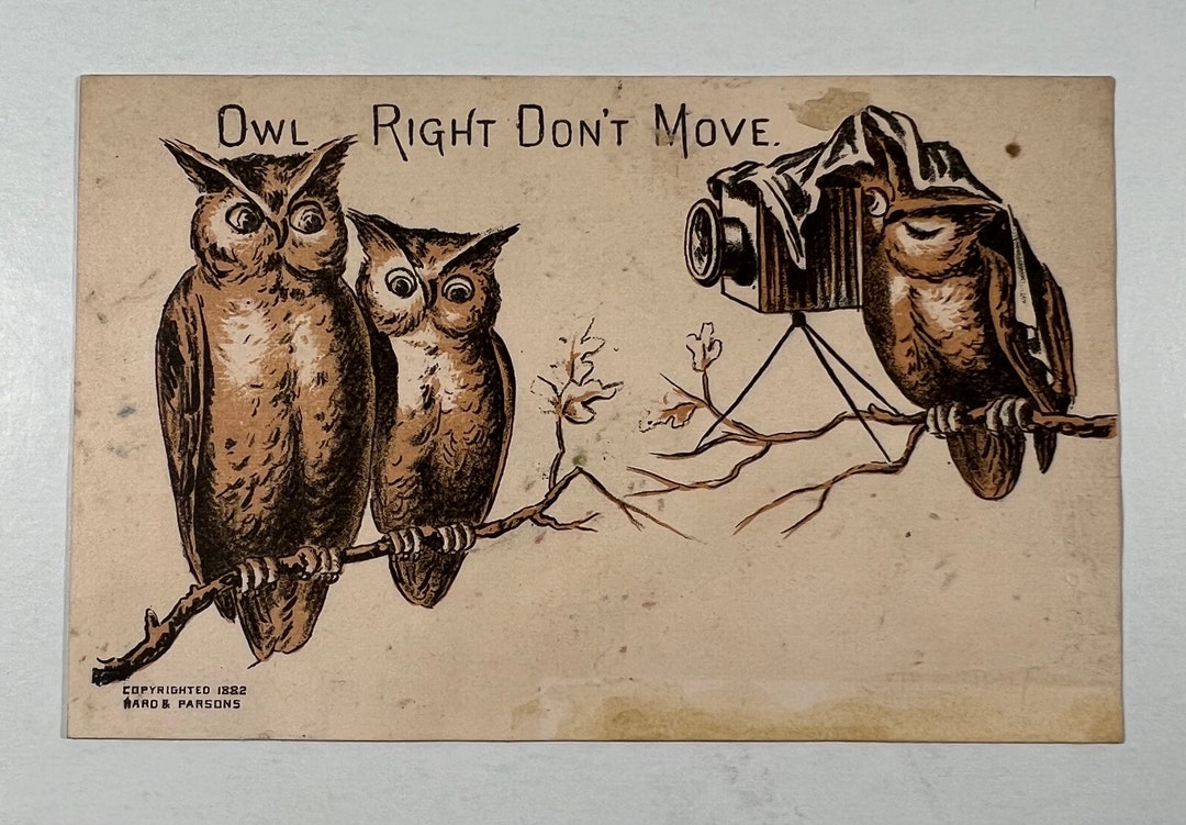 Victorian Owl Advertising Trade Card Owls Standing on Branch Taking ...