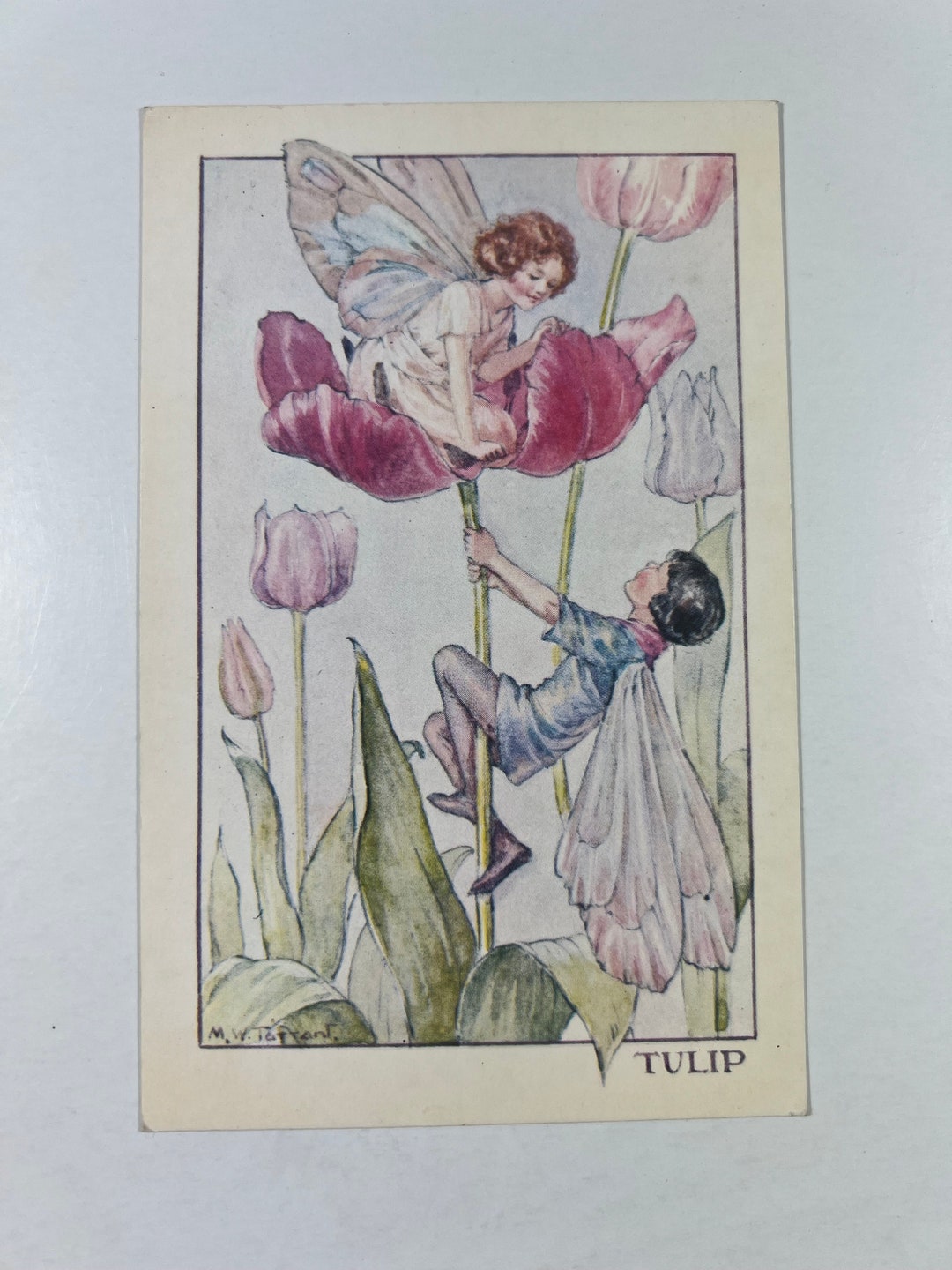 Vintage Fairy Anthropomorphic Postcard - Fairies With Tulip Flowers ...