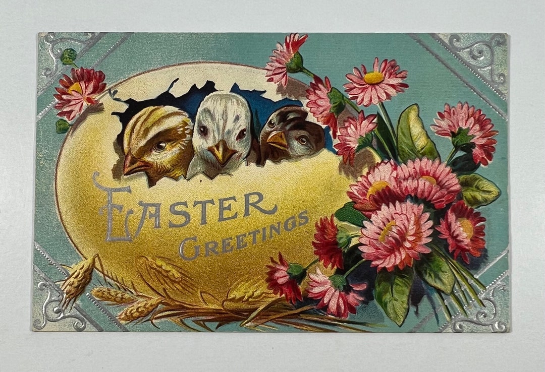 Vintage Chick Easter Postcard - Chicks in Cracked Egg, Pink Flowers - Etsy