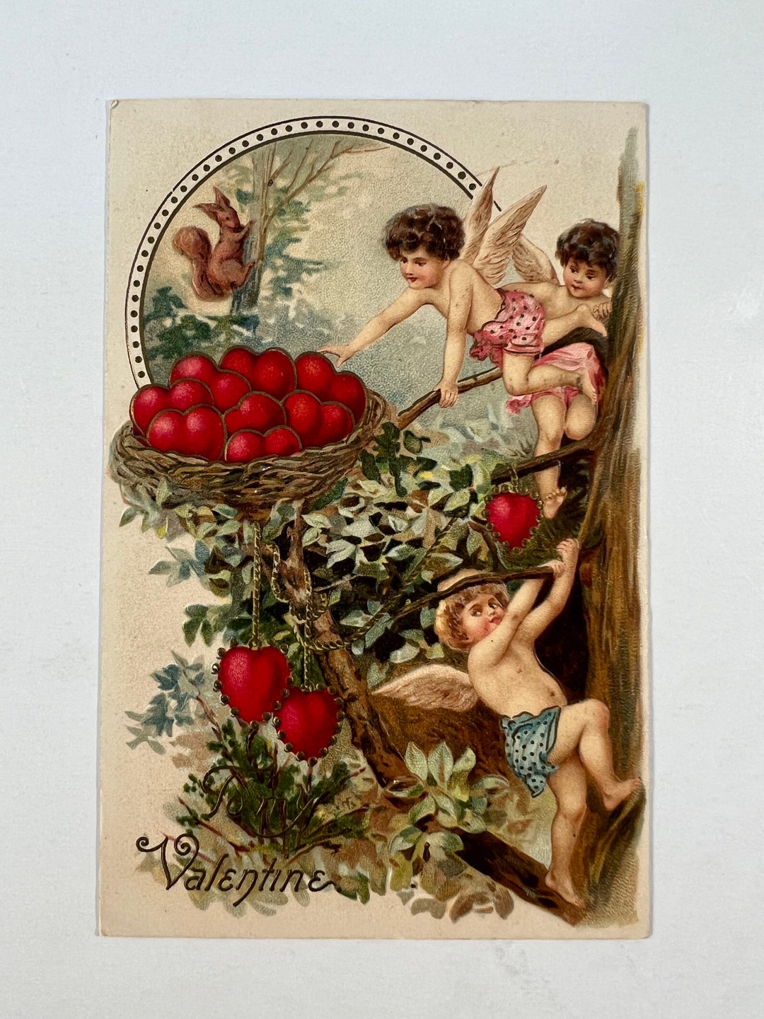 Vintage Angel & Squirrel Valentine Postcard Angels Reaching for Nest of ...