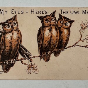 Victorian Owl Advertising Trade Card Owls Standing on - Etsy