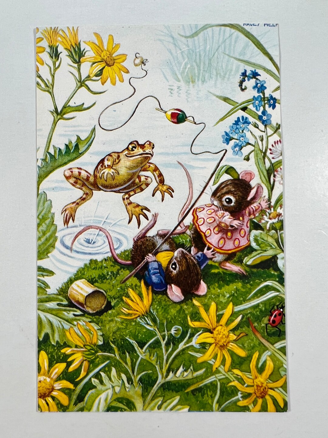 Vintage Anthropomorphic Mice & Frog Postcard Mice Fishing, Frog Jumping ...