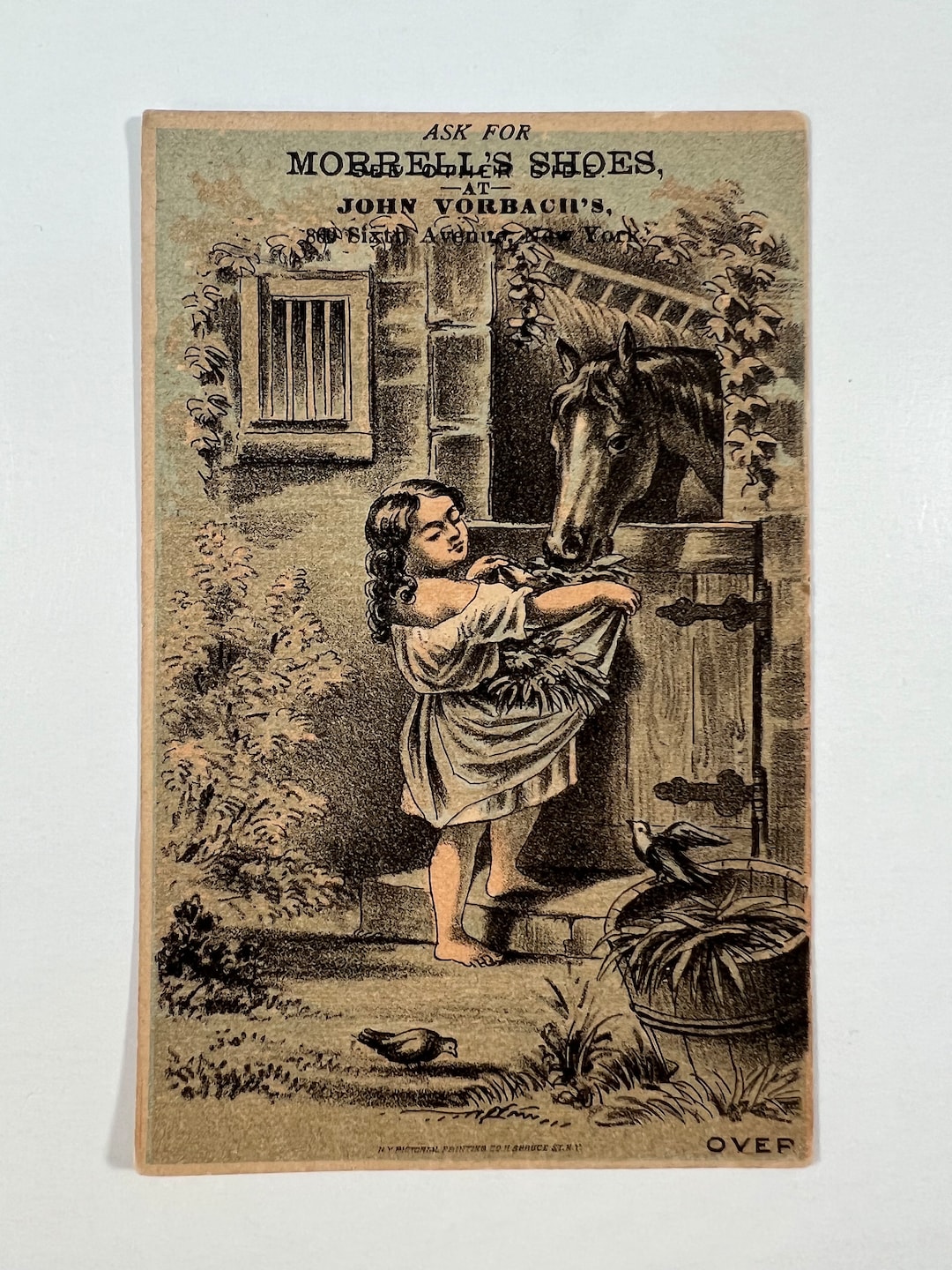 Victorian Girl & Horse Advertising Trade Card - Girl Feeding Horse in ...