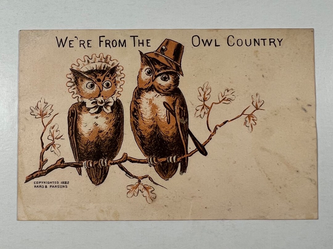 Victorian Owl Advertising Trade Card - Owls Standing on Branch, Owls ...