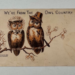 Victorian Owl Advertising Trade Card Owls Standing on Branch, Owls ...