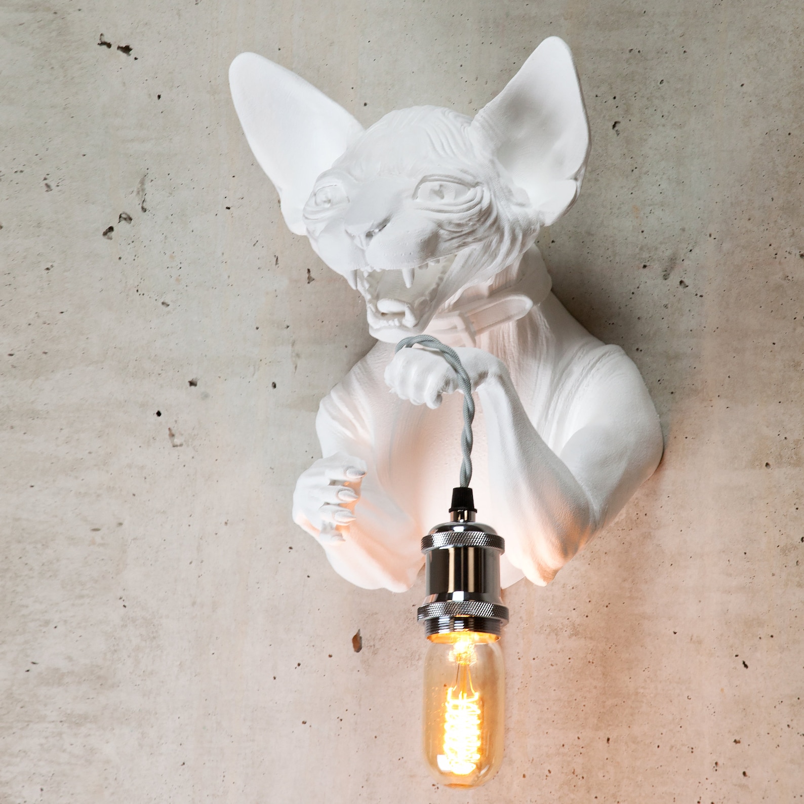 Cat Sphynx Lover, Wall Light Home Decor, for Cat Lovers Gift, Black Cat ...
