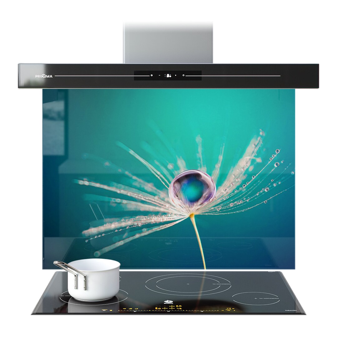Kitchen Splashback Macro Dandelion Water Drops Tempered Glass ...