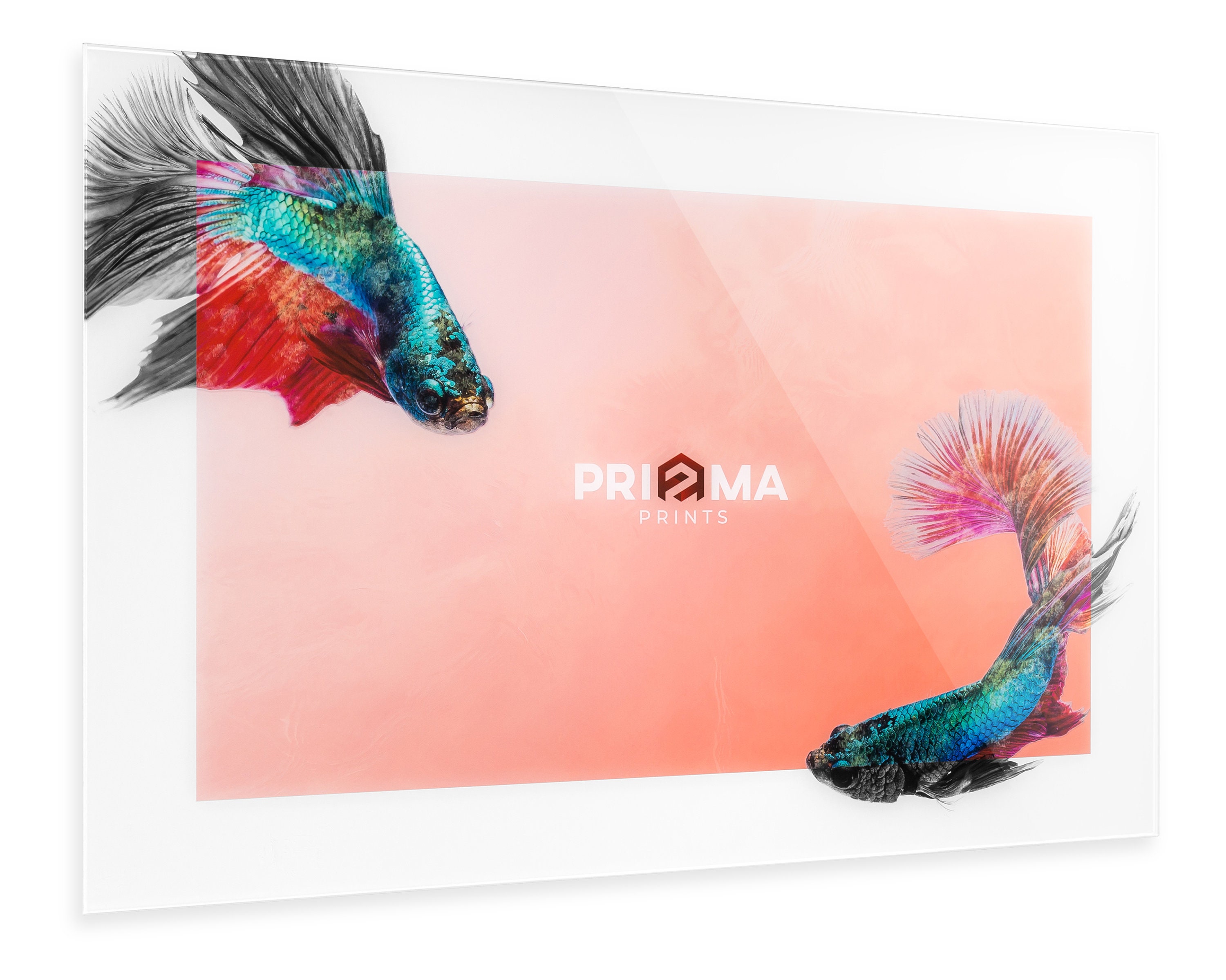 Printed Kitchen Glass Splashback Tempered Cooker Tiles Panel - Etsy UK